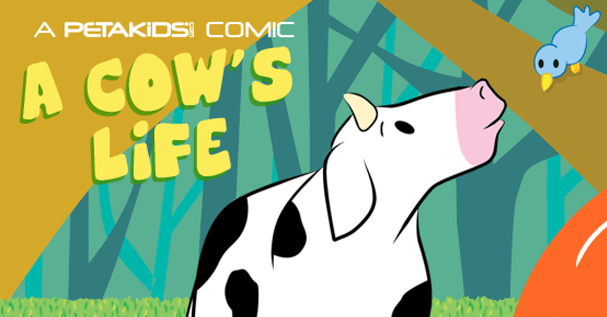 'A Cow's Life' Comic Book | Activities | PETA Kids