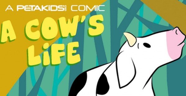 'A Rat's Life' Comic Book | Activities | PETA Kids