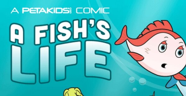 'A Chicken's Life' Comic Book | Activities | PETA Kids