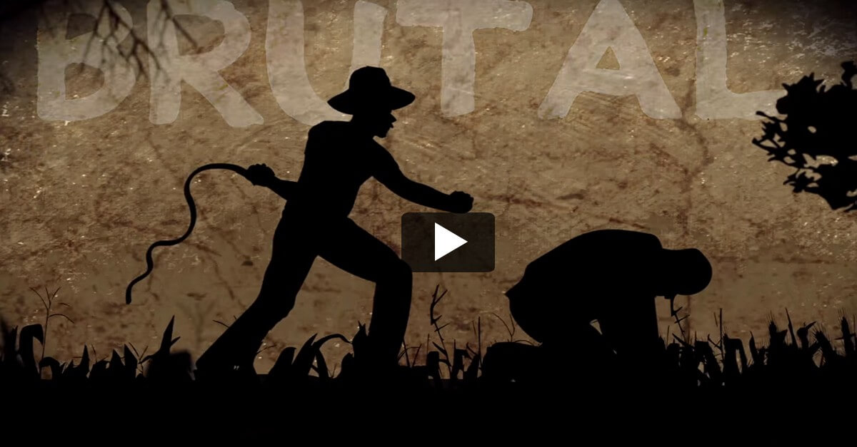 What Do Slavery and Animals in Captivity Have in Common? | PETA Kids