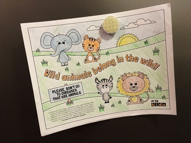 Wild Animals Belong in the Wild Coloring Sheet | PETA Kids