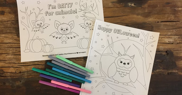 Free Animal-Friendly Coloring Pages! | PETA Kids