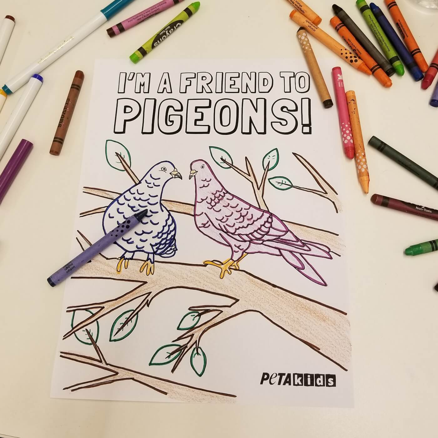 Free "Friend to Pigeons" Coloring Sheet! | PETA Kids