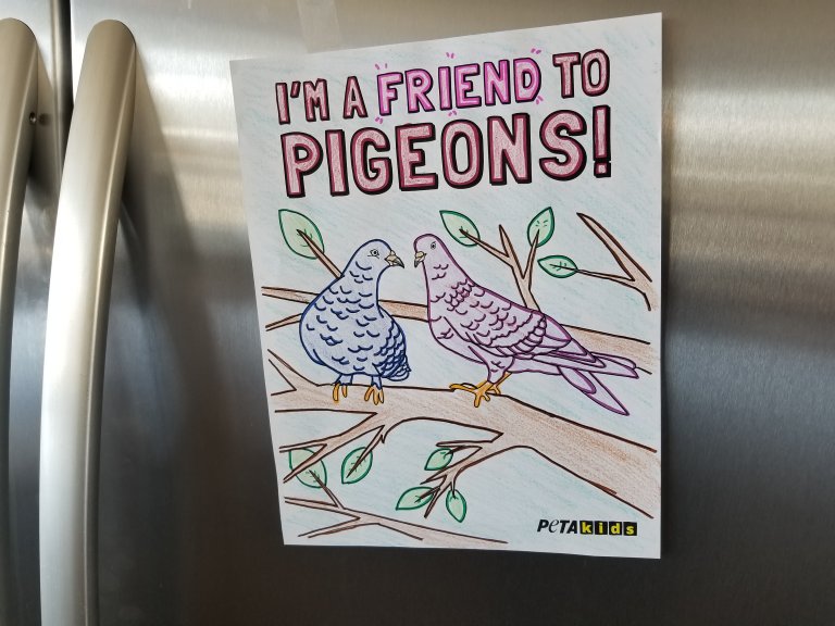 Free "Friend to Pigeons" Coloring Sheet! | PETA Kids