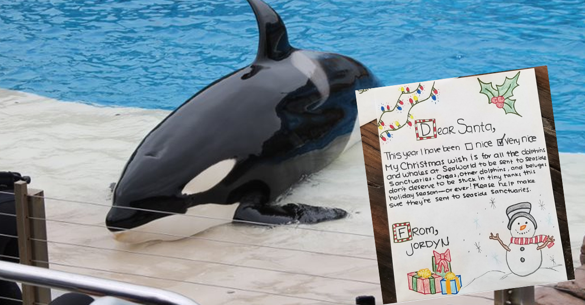 All I Want for Christmas Is Freedom for Orcas! | PETA Kids