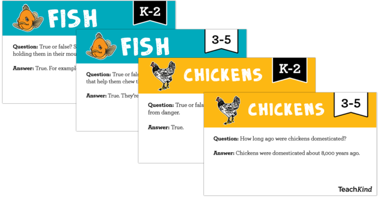 Compassionate Games to Play at Home With Kids | PETA Kids