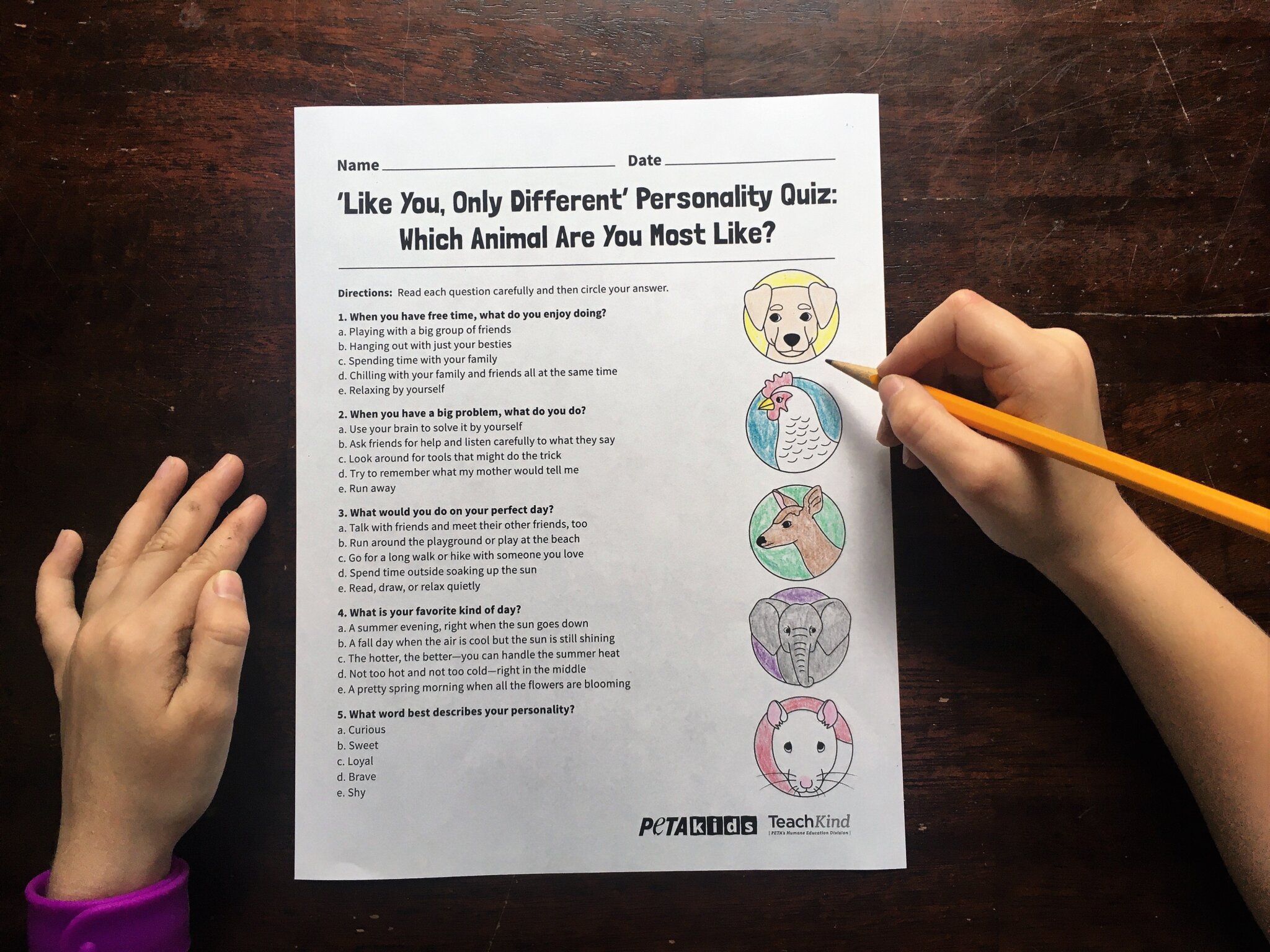 Take the Quiz: Which Animal Are You Most Like? | PETA Kids