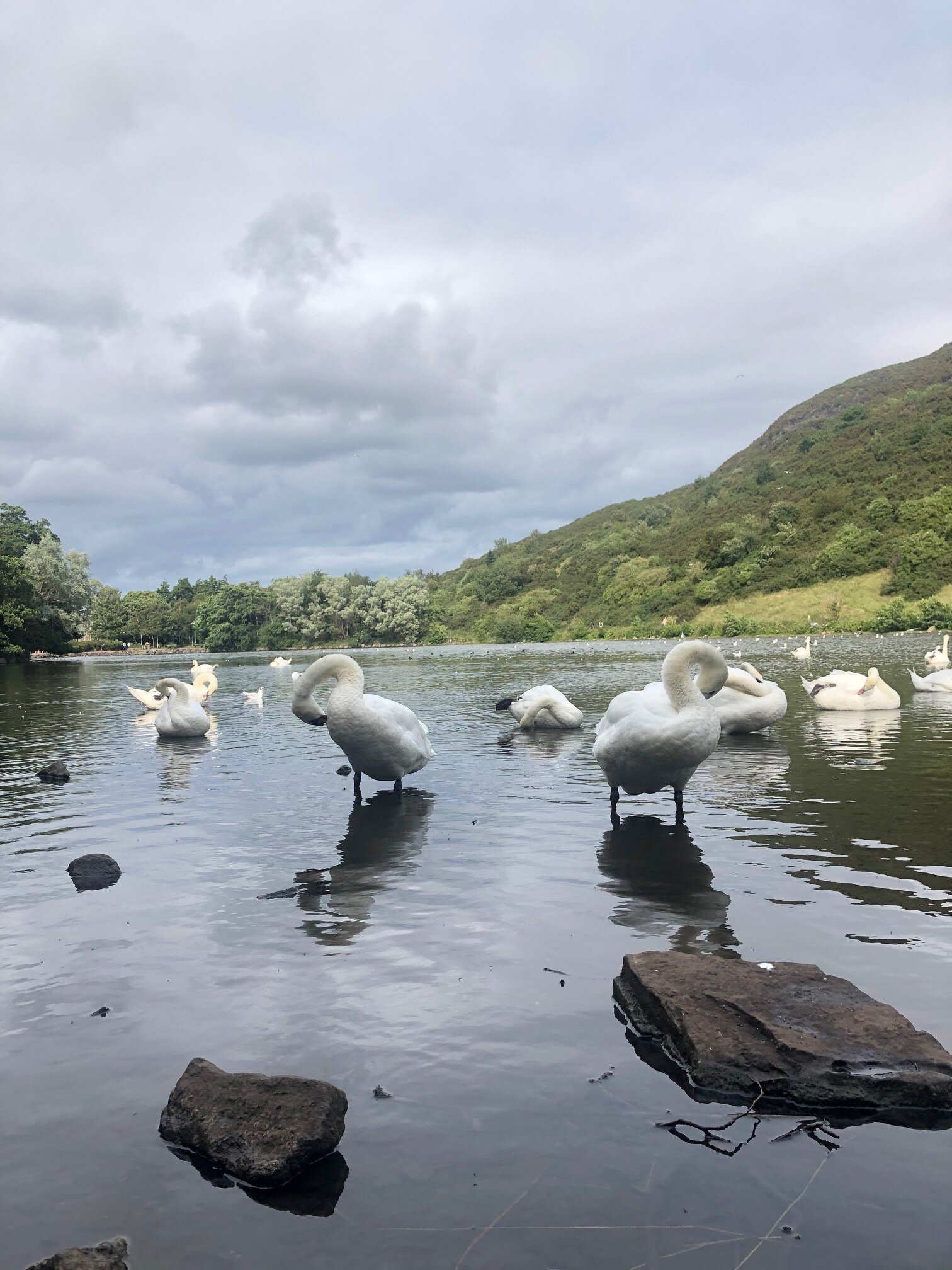 Learn About the Animals You Meet at the Park | PETA Kids