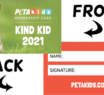 Save Animals | PETA Kids