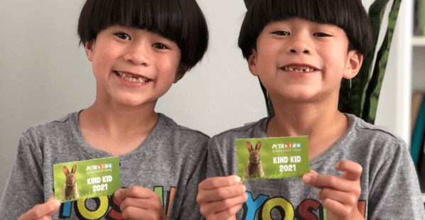 Save Animals | PETA Kids