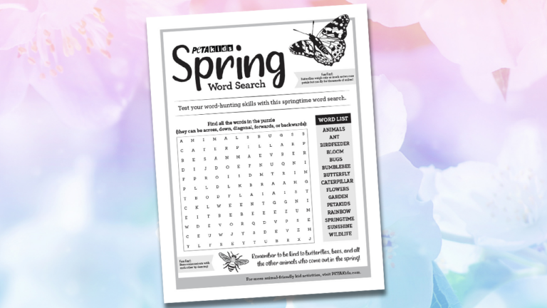 Spring Bugs Word Search | PETA Kids
