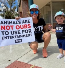 PETA Kids: Help Animals With Fun Games, Get Animal Facts, & More!