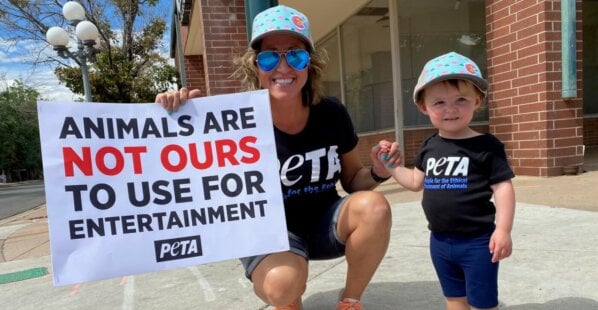 Save Animals | PETA Kids