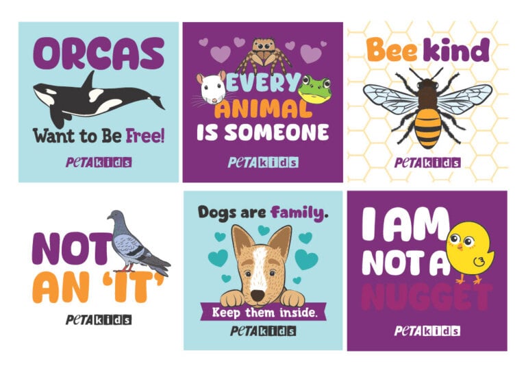 Free PETA Kids Stickers | PETA Kids